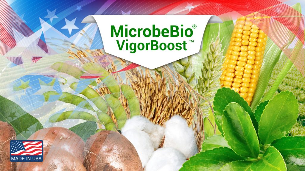 vigor boost | Phân Hữu Cơ Vi Sinh Microbebio Việt Nam